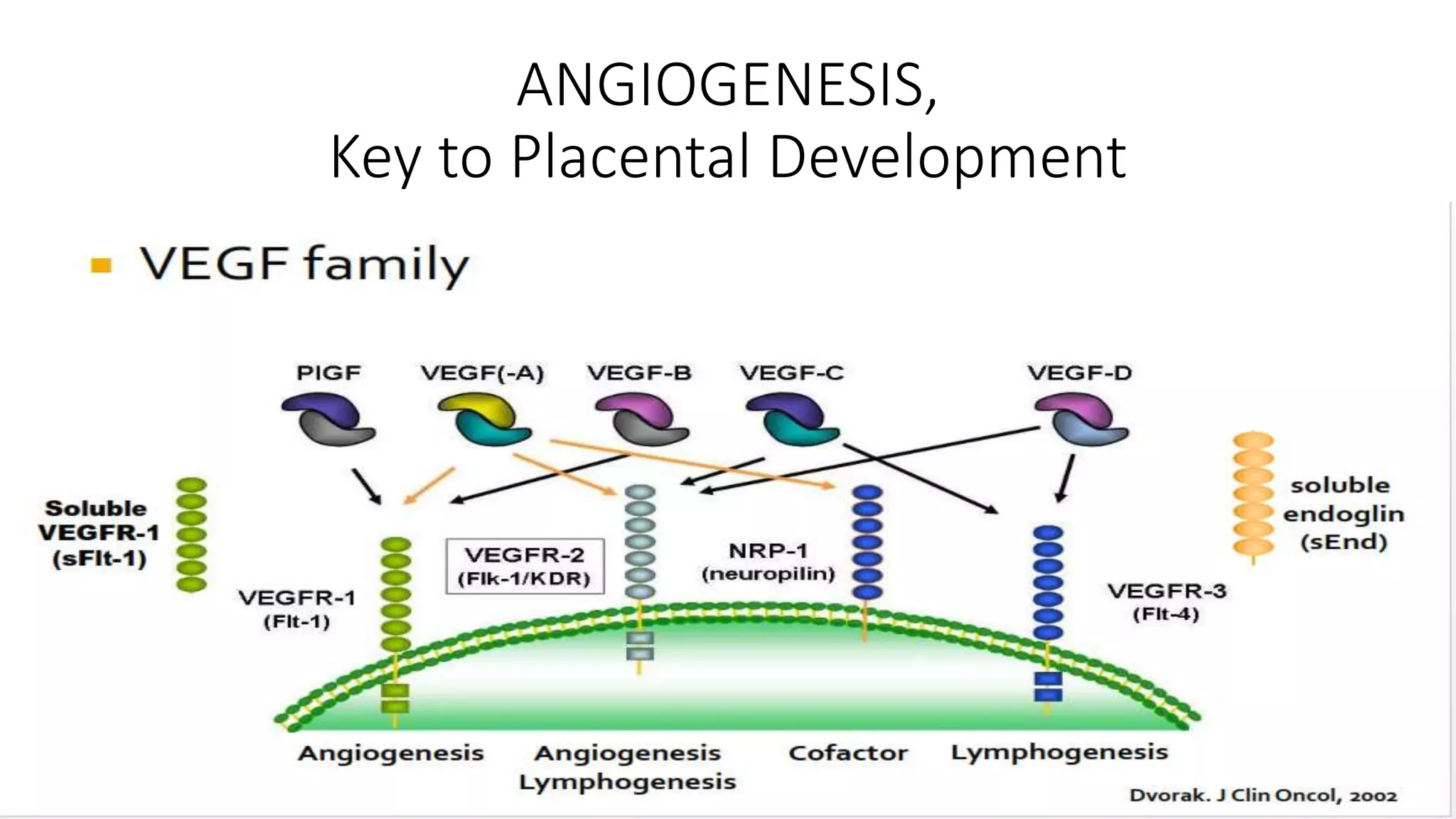 pathogenesis of Pre eclampsia | PPTX