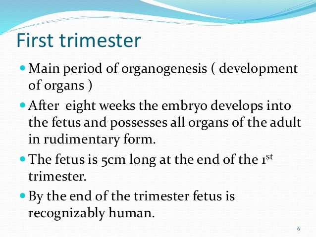 Pre embryonic development