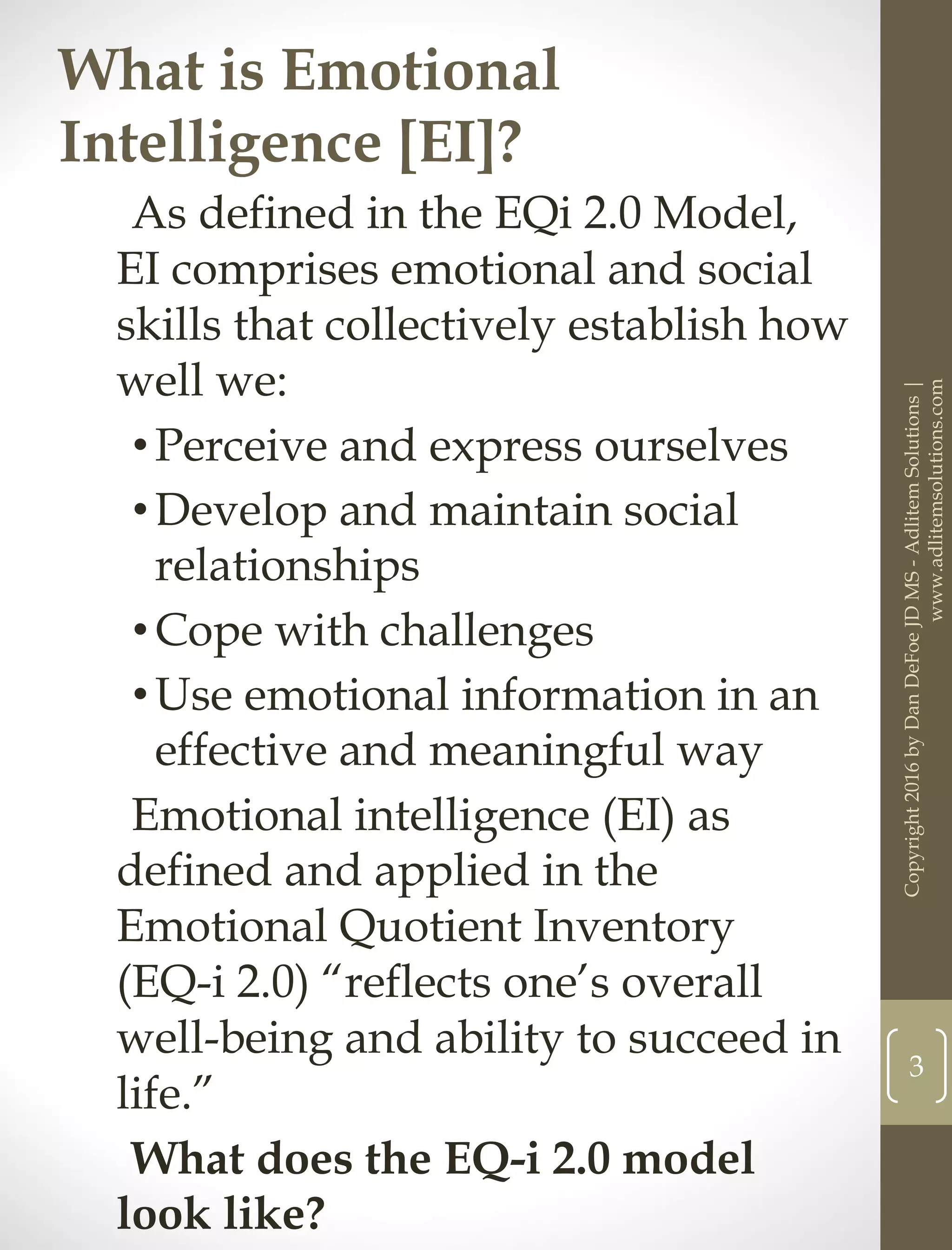 High Level EQi 2.0 Workshop Presentation | PDF
