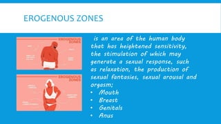 physiology of reproductive | PPTX | Sexual Conditions | Sexual Health