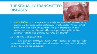 physiology of reproductive | PPTX