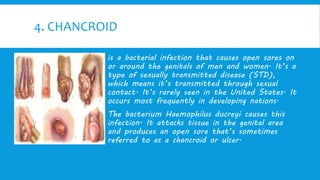 physiology of reproductive | PPTX | Sexual Conditions | Sexual Health