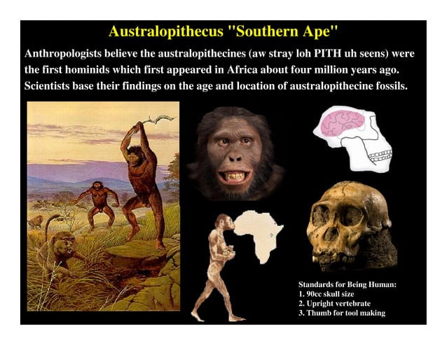 Pre-history & Early Man [PDF]