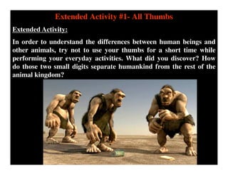 Early Human Beings