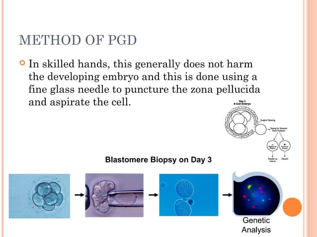 Pre implantation genetic diagnosis (pgd) | PPT