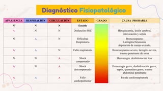triángulo de evaluación pediátrica | PPTX