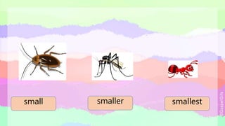 math sizes of things | PPT