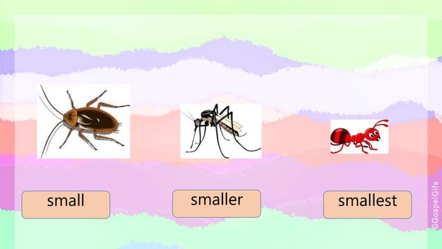 math sizes of things | PPTX