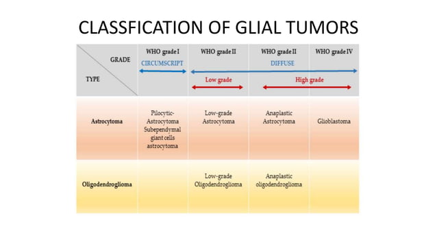 Pre-managment of Low Grade Glioma- low grade glioma | PPT