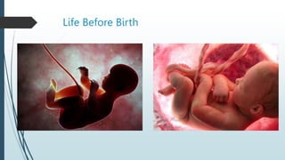 Pre-natal-Development.pptx