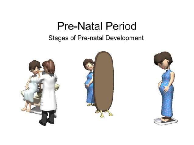 PRE-NATAL-PERIOD[1].pptx