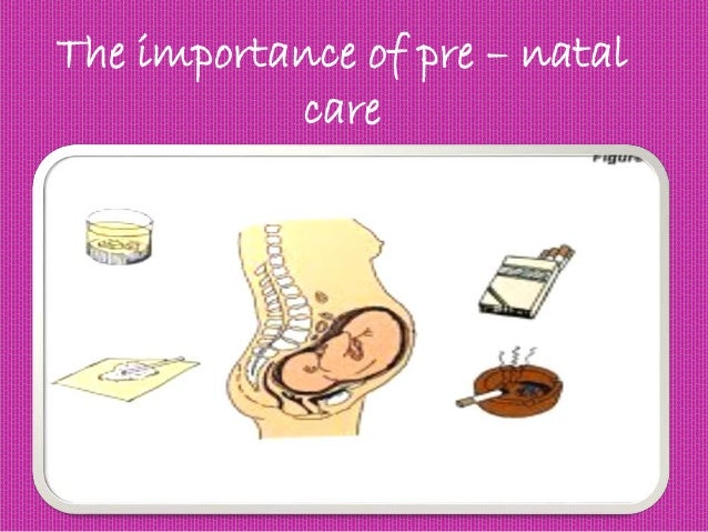 Lesson 4.4 Pre- natal Care
