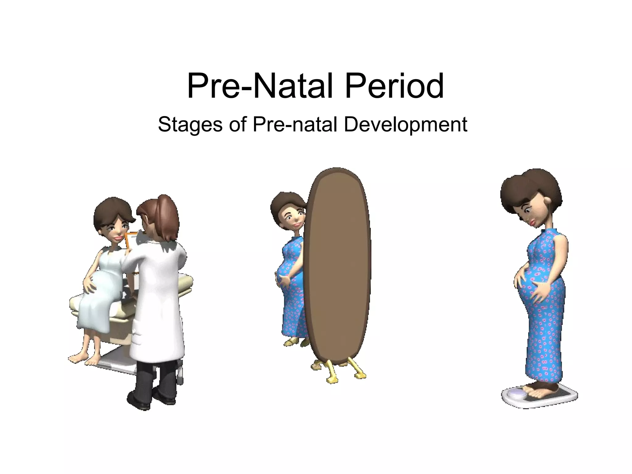 Prenatal Development | PPT