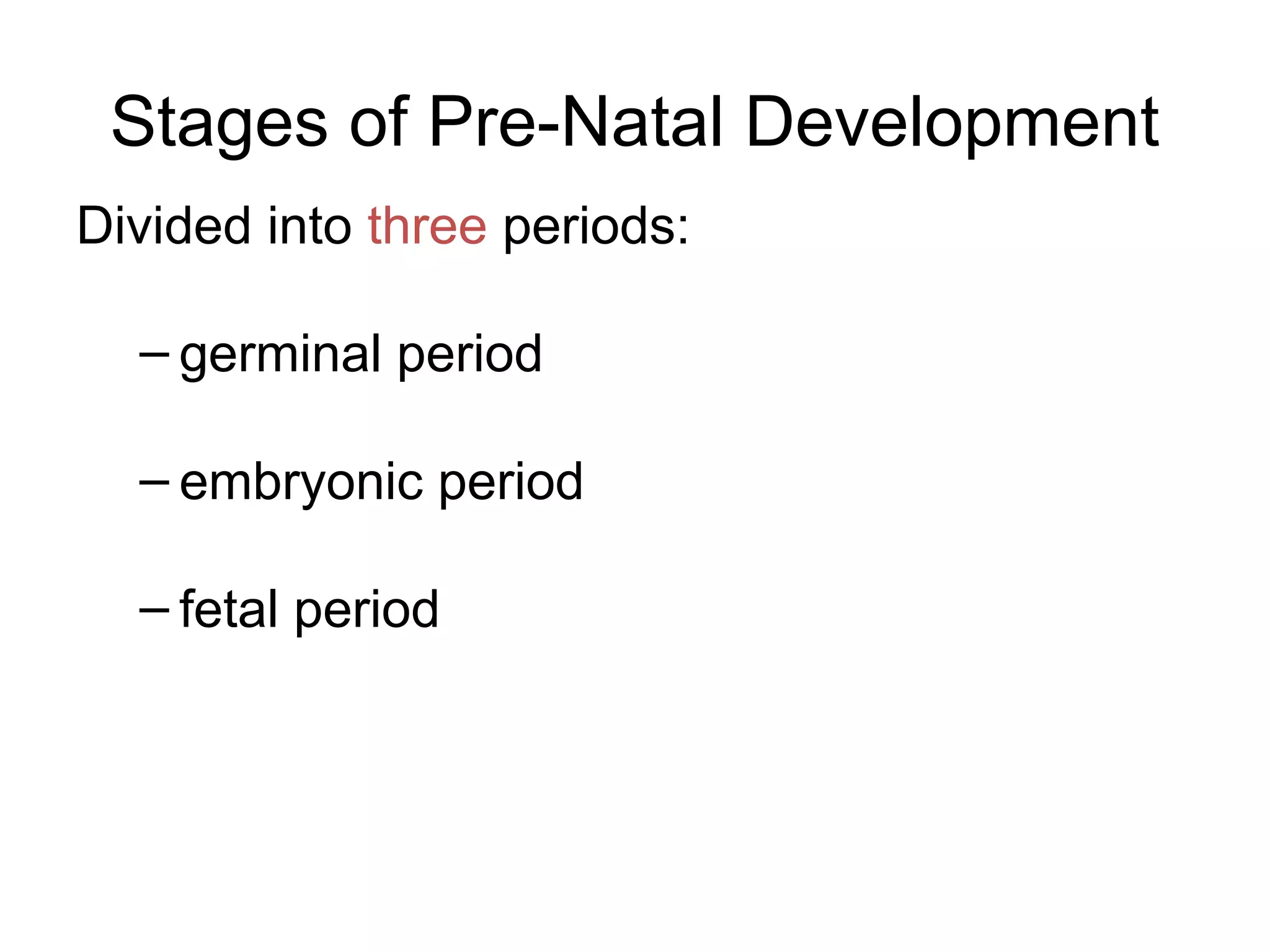 Prenatal Development | PPT
