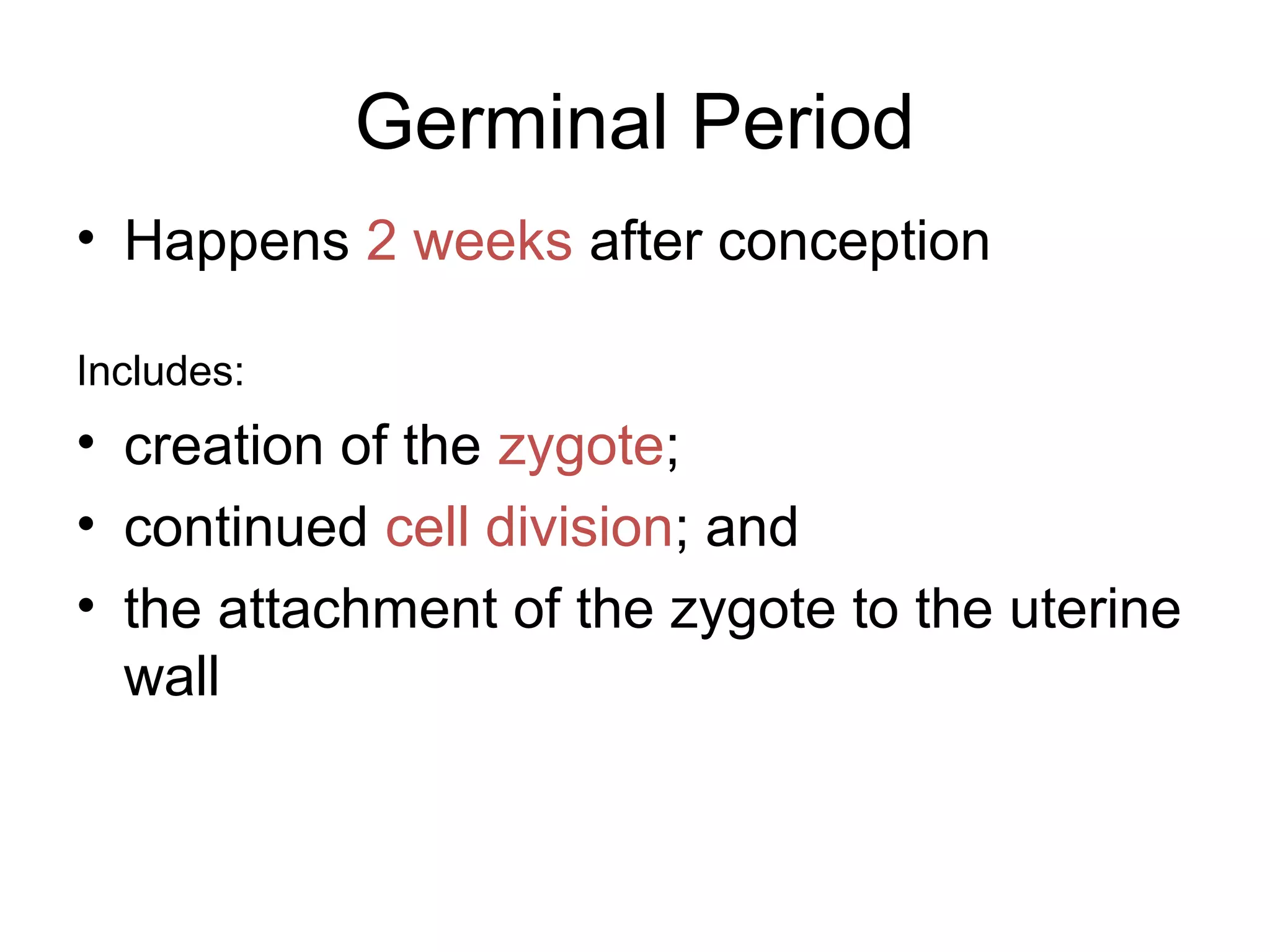 Prenatal Development | PPT