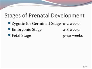 Pre natal development | PPT