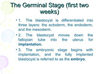 Pre-natal development of child | PPT