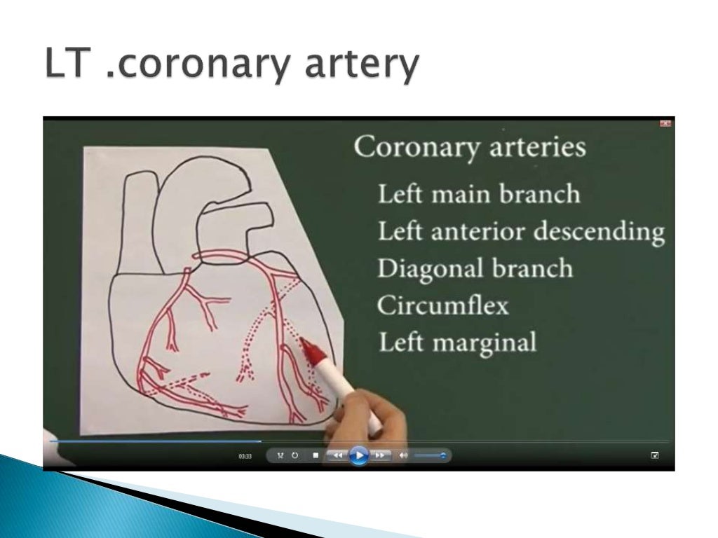 Pre operative cardiac assessment dr sadany-1 | PPTX