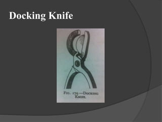 Pre operative protocol for tail docking in equine | PPTX