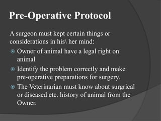 Pre operative protocol for tail docking in equine | PPTX