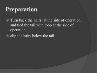 Pre operative protocol for tail docking in equine | PPTX