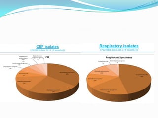 Pre op stabilization and management | PPTX