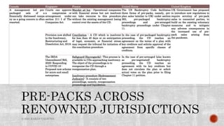 Pre-Packaged Insolvency Resolution Process | PPTX