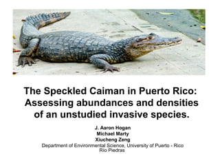 Team Caiman Pre-proposal presentation | PPT