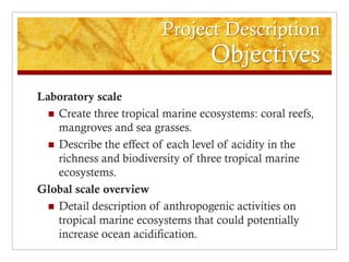 Pre proposal presentation global processes | PDF