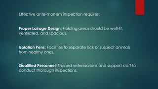 Pre - Slaughter care Presentation.p nmptx | PPTX