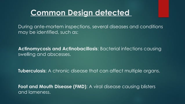 Pre - Slaughter care Presentation.p nmptx | PPTX