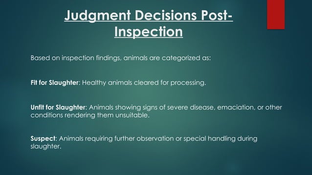 Pre - Slaughter care Presentation.p nmptx | PPTX
