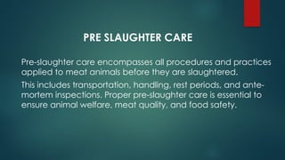 Pre - Slaughter care Presentation.p nmptx | PPT