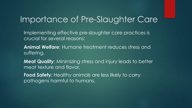Pre - Slaughter care Presentation.p nmptx | PPTX