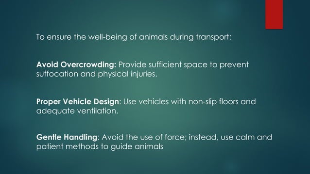 Pre - Slaughter care Presentation.p nmptx | PPTX