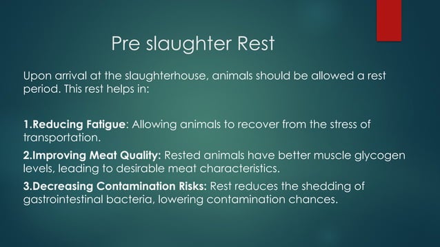 Pre - Slaughter care Presentation.p nmptx | PPTX