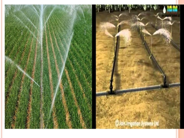 Sprinkler irrigation system | PPTX