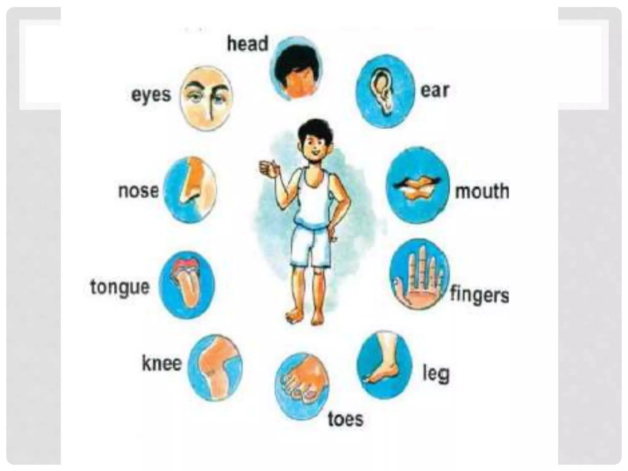 How do we use our senses? | PPTX | Eye and Vision Conditions | Diseases ...