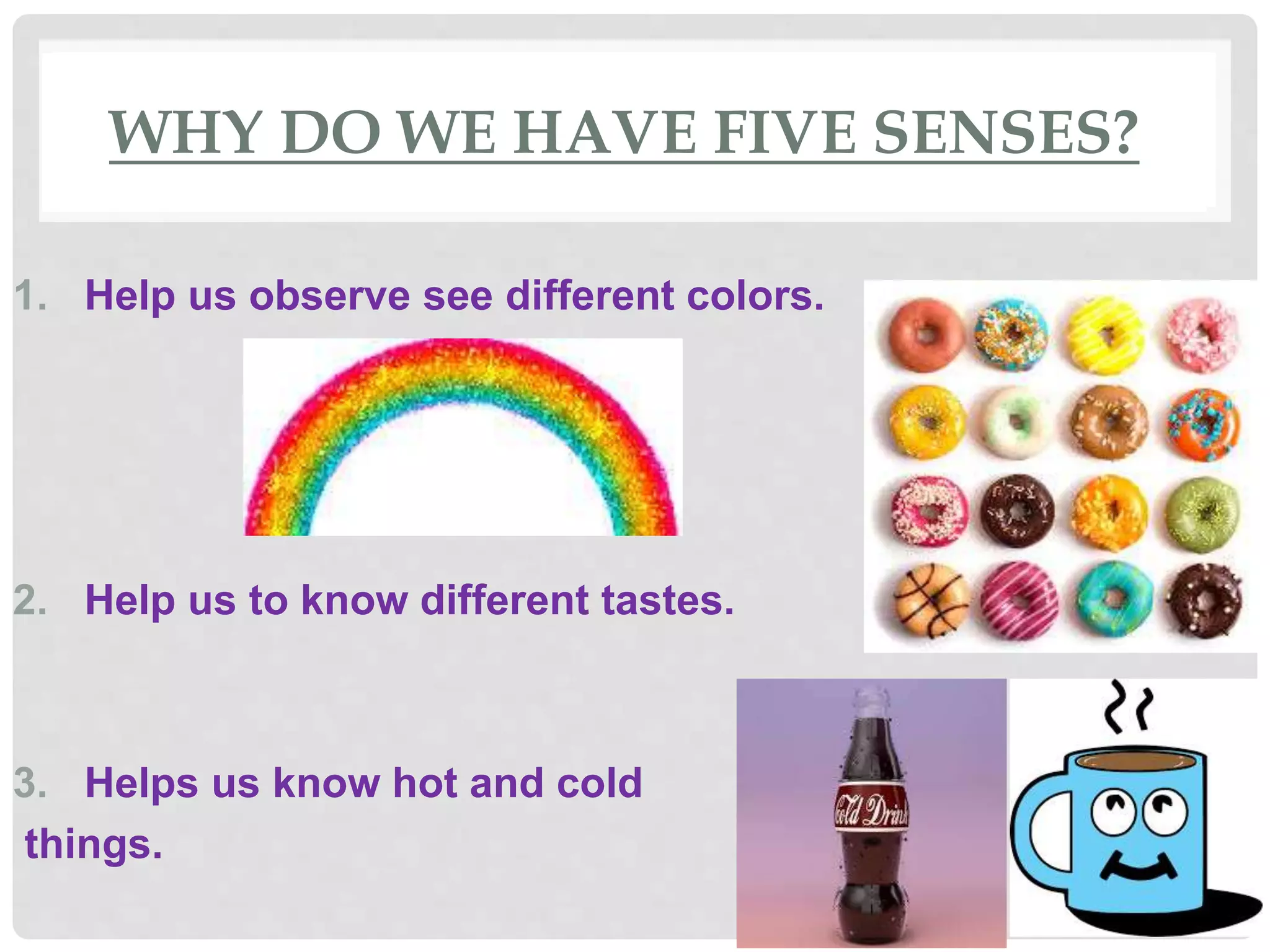 How do we use our senses? | PPTX | Eye and Vision Conditions | Diseases ...