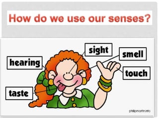 How do we use our senses? | PPTX | Eye and Vision Conditions | Diseases ...