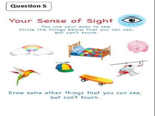 How do we use our senses? | PPTX | Eye and Vision Conditions | Diseases ...