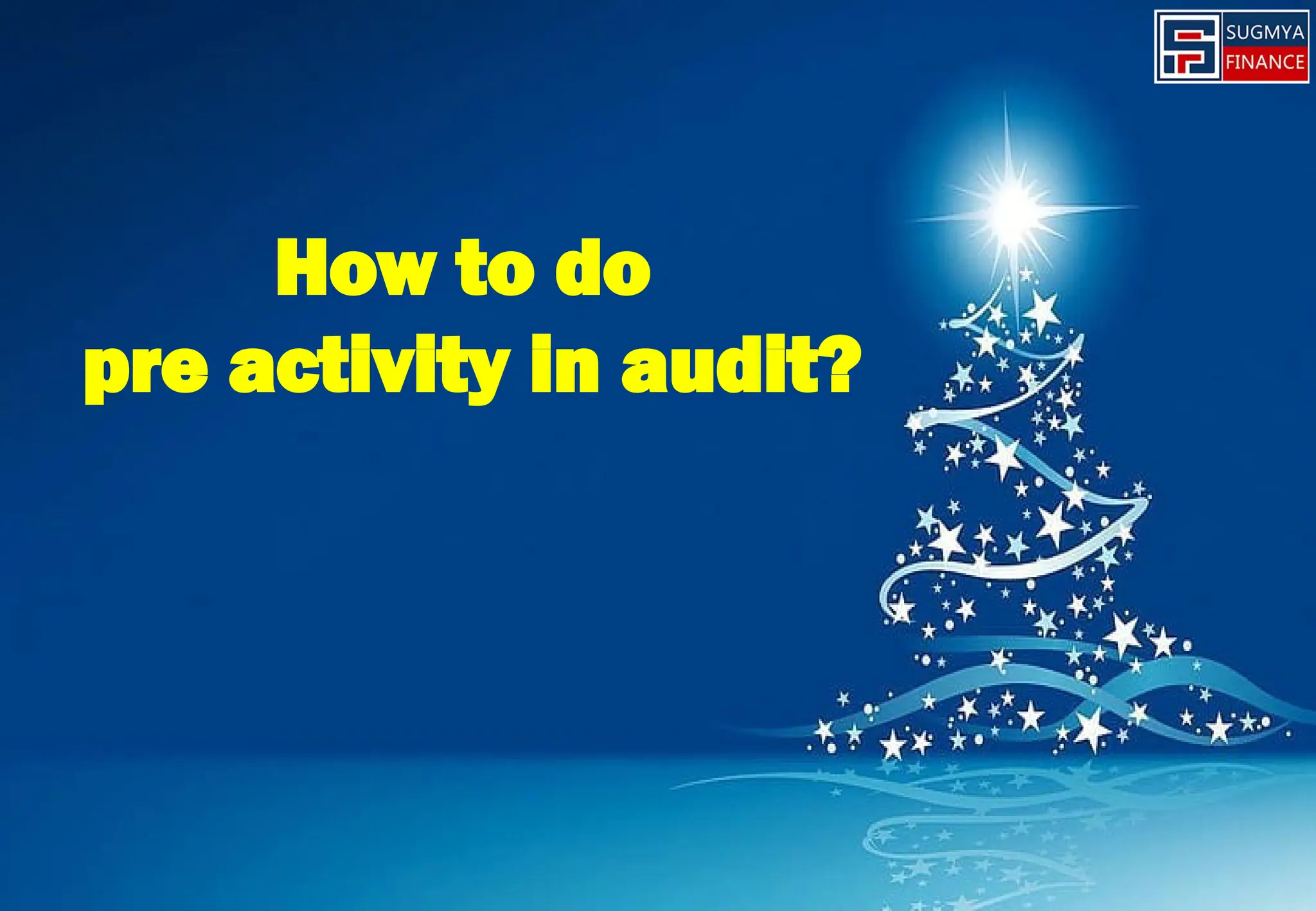 Pre activities audit schedule of financial service | PPTX