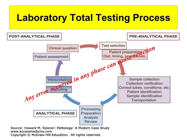 Pre analytical in lab testing | PPTX | Blood Disorders | Diseases and ...