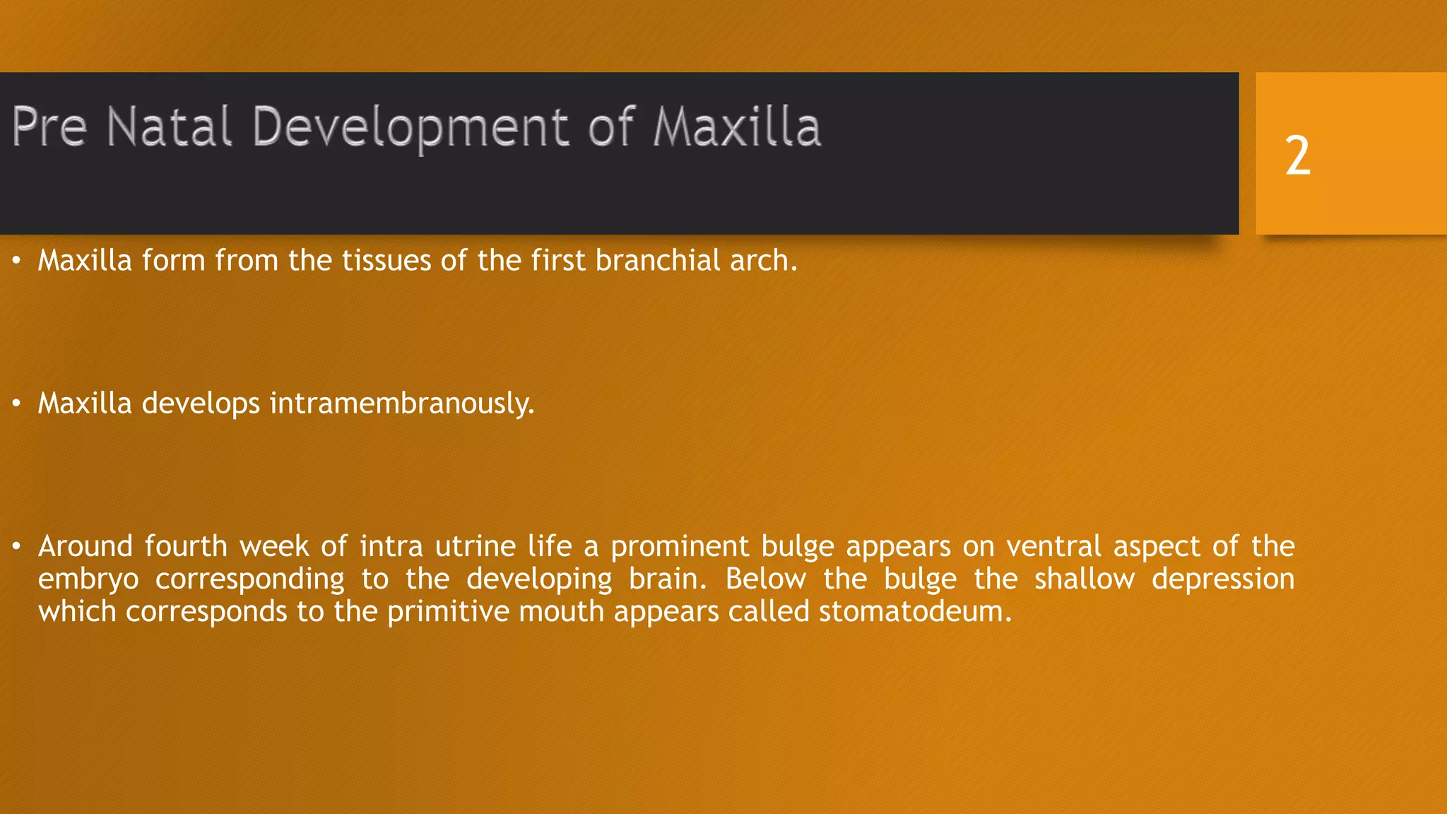 Pre and post natal growth of maxilla | PPTX