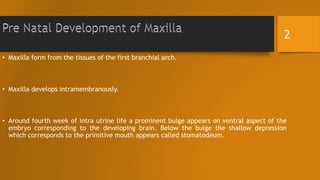 Pre and post natal growth of maxilla | PPTX
