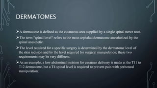 Pre anesthesia and anatomic landmarks | PPTX