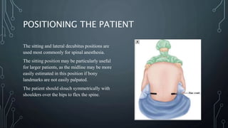 Pre anesthesia and anatomic landmarks | PPTX | Brain and Nervous System ...