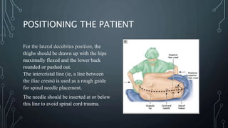 Pre anesthesia and anatomic landmarks | PPTX | Brain and Nervous System ...