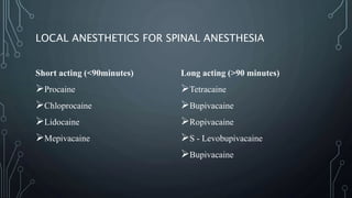 Pre anesthesia and anatomic landmarks | PPTX