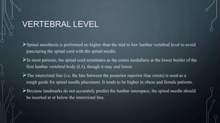 Pre anesthesia and anatomic landmarks | PPTX | Brain and Nervous System ...